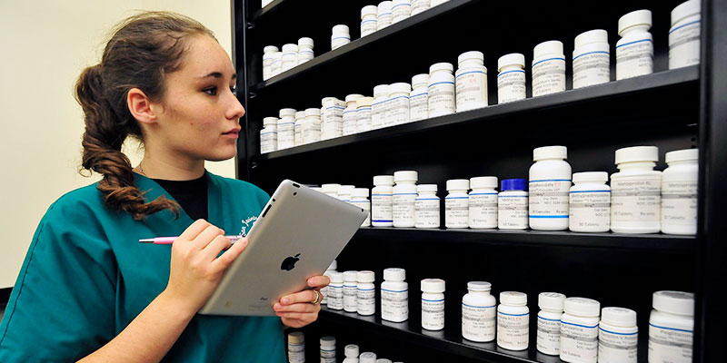 What to expect when you’re ‘pharm-teching’: Your first semester in the ...