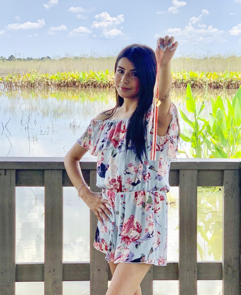 Harris Co. Promise program enables greater access to higher education ...